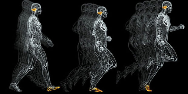 proprioception – tomreading